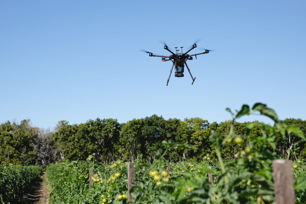 Biological Control by Drone Archives - NQA